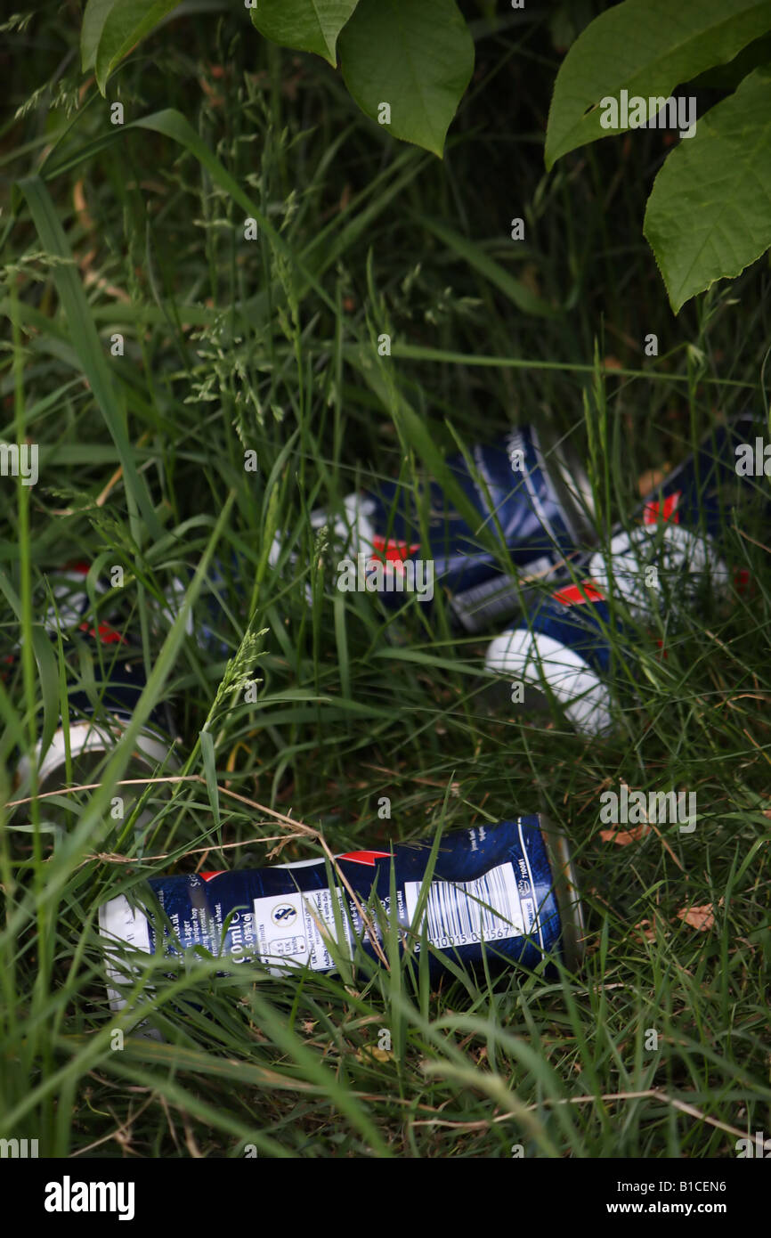 Beer cans containing alcohol littering the countryside Stock Photo - Alamy