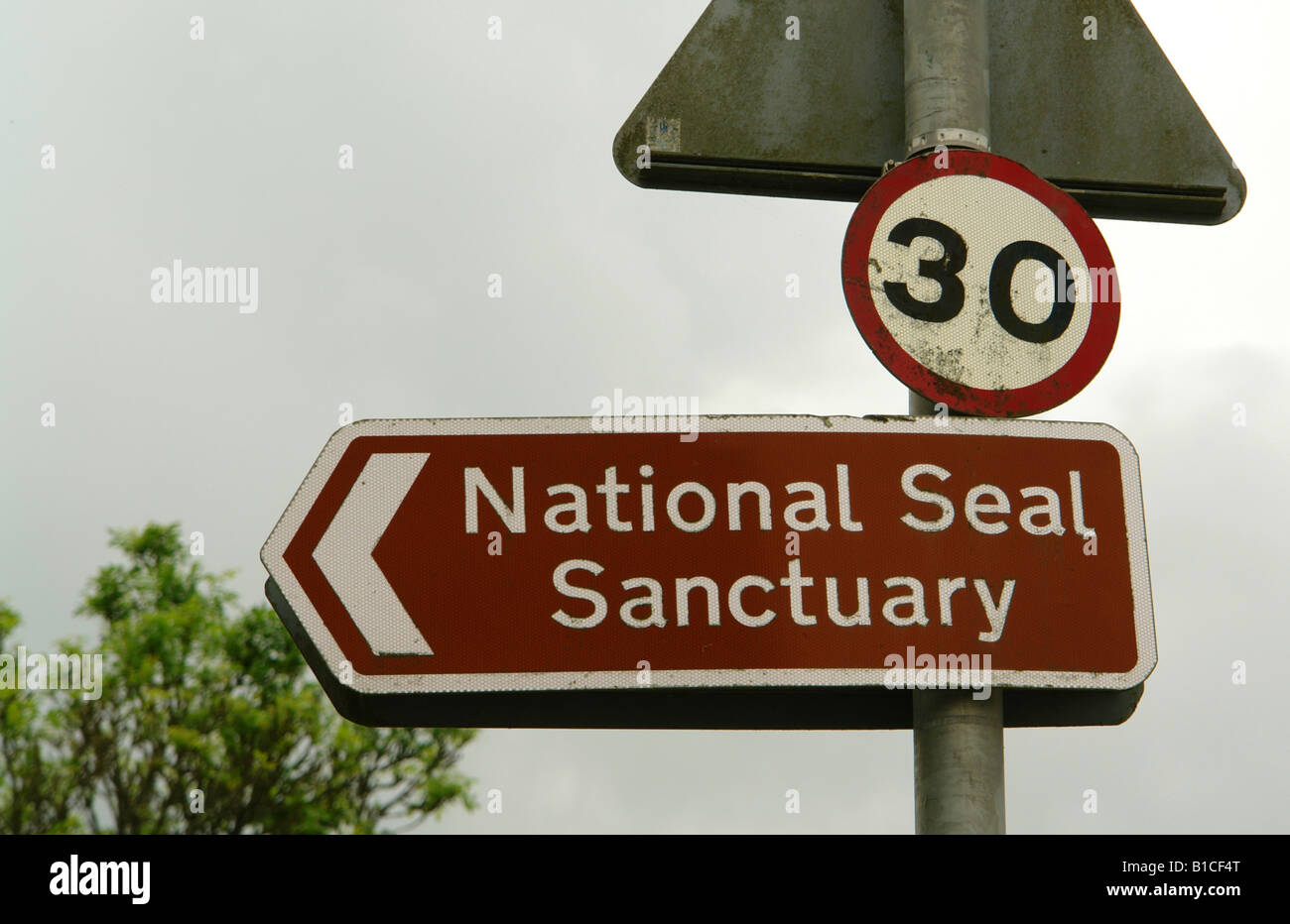 Cornish seal sanctuary gweek hi-res stock photography and images - Alamy