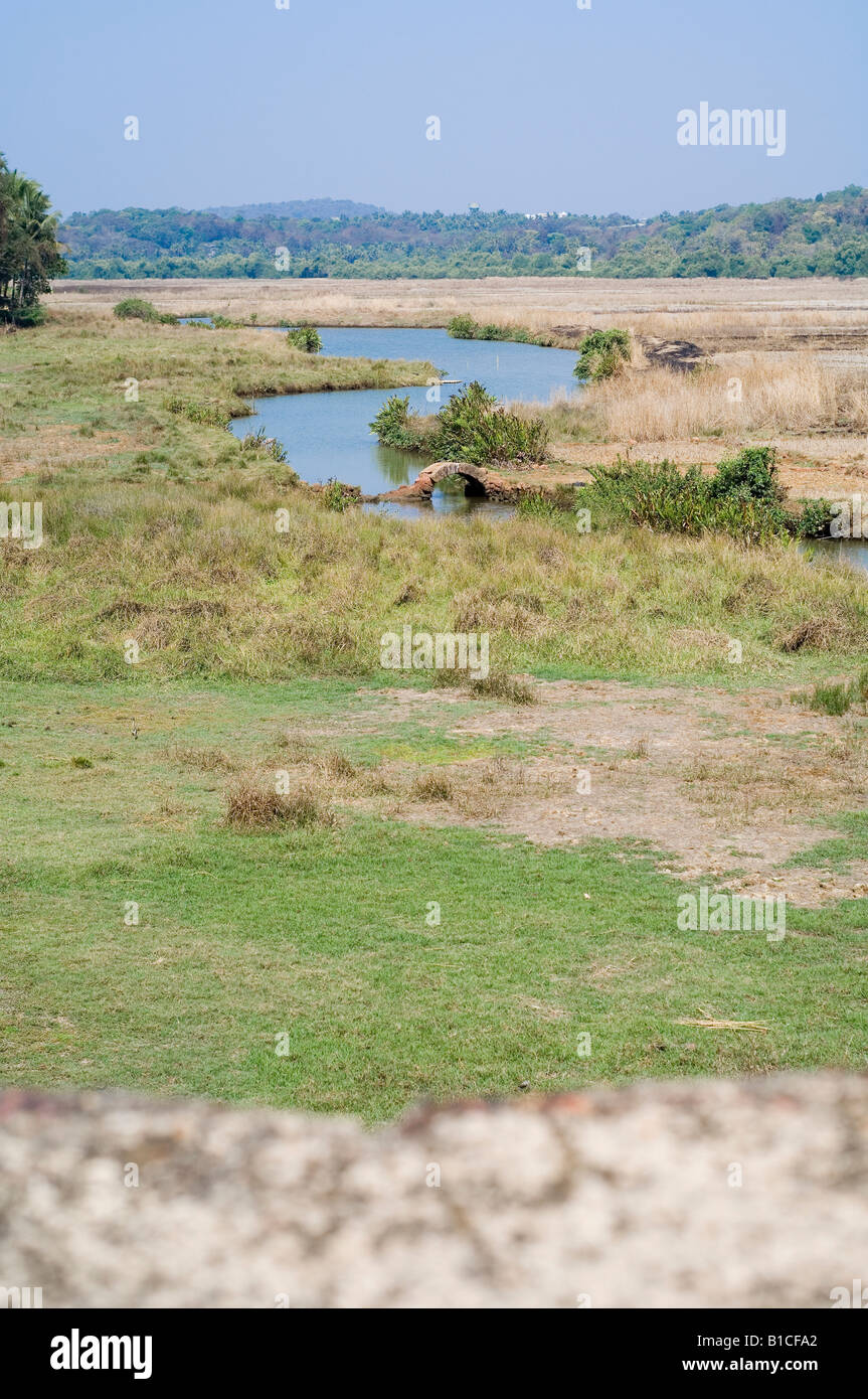 indian scenery in goa Stock Photo - Alamy