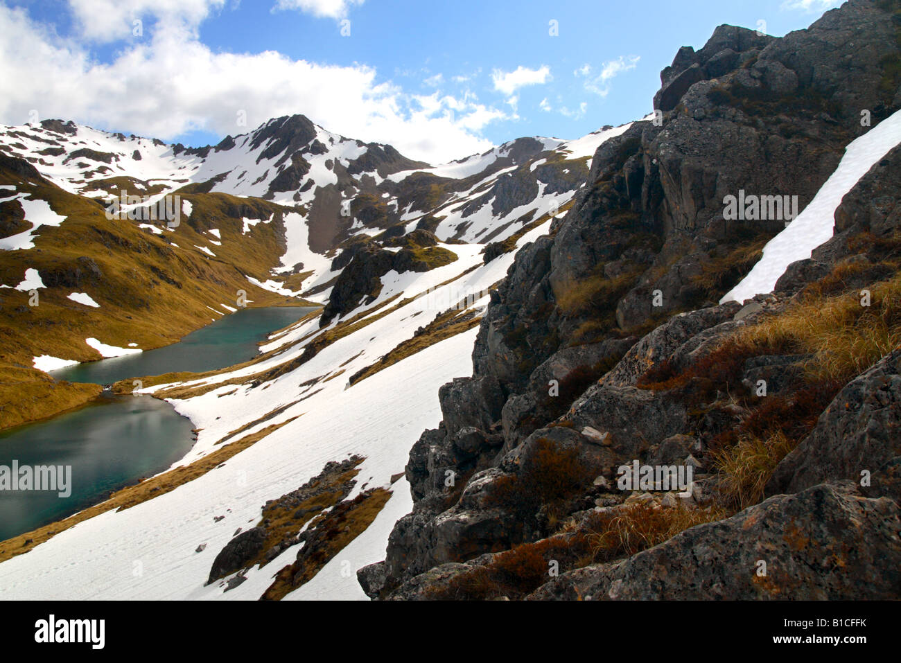 Nelson Lakes National Park, South Island, New Zealand Stock Photo - Alamy