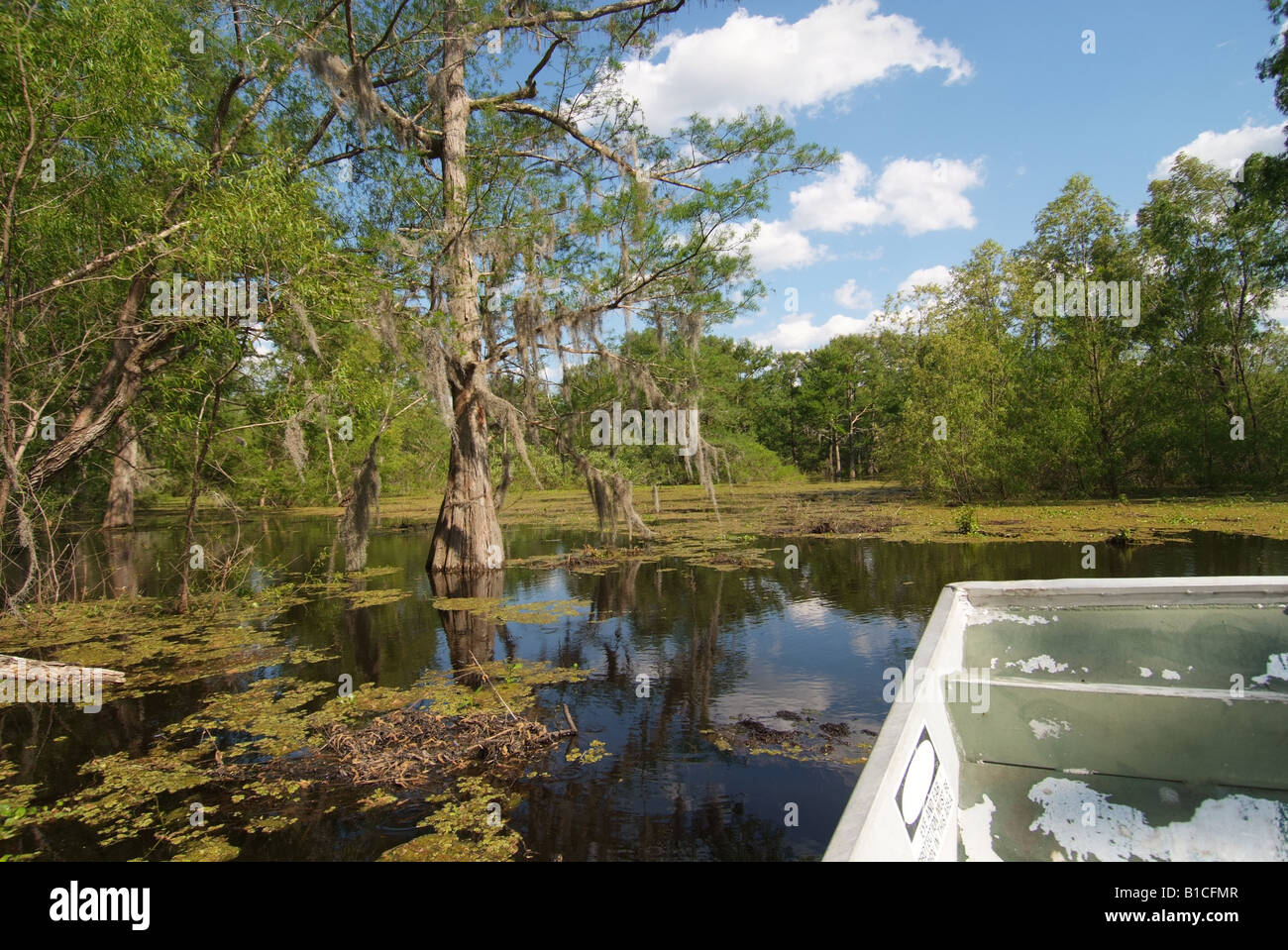 Henderson swamp hi-res stock photography and images - Alamy