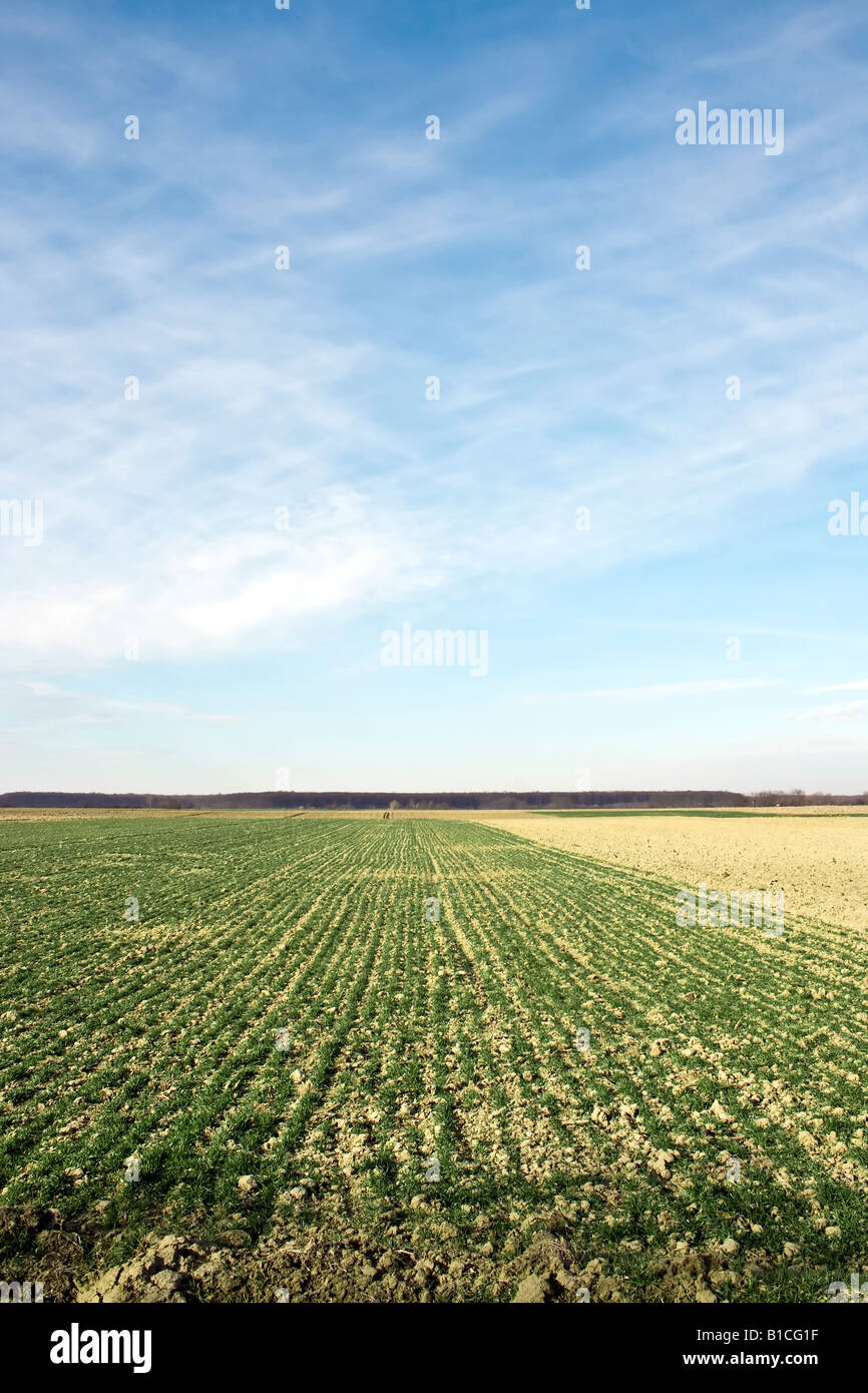 beautiful countryside in spring Stock Photo - Alamy