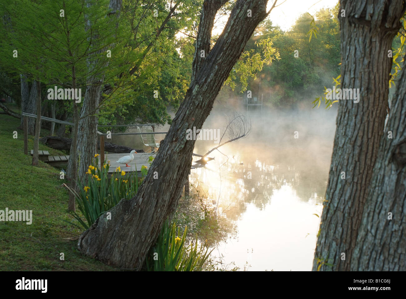 USA Louisiana LA Cajun Country Breaux Bridge Bayou Lake at sunrise ...
