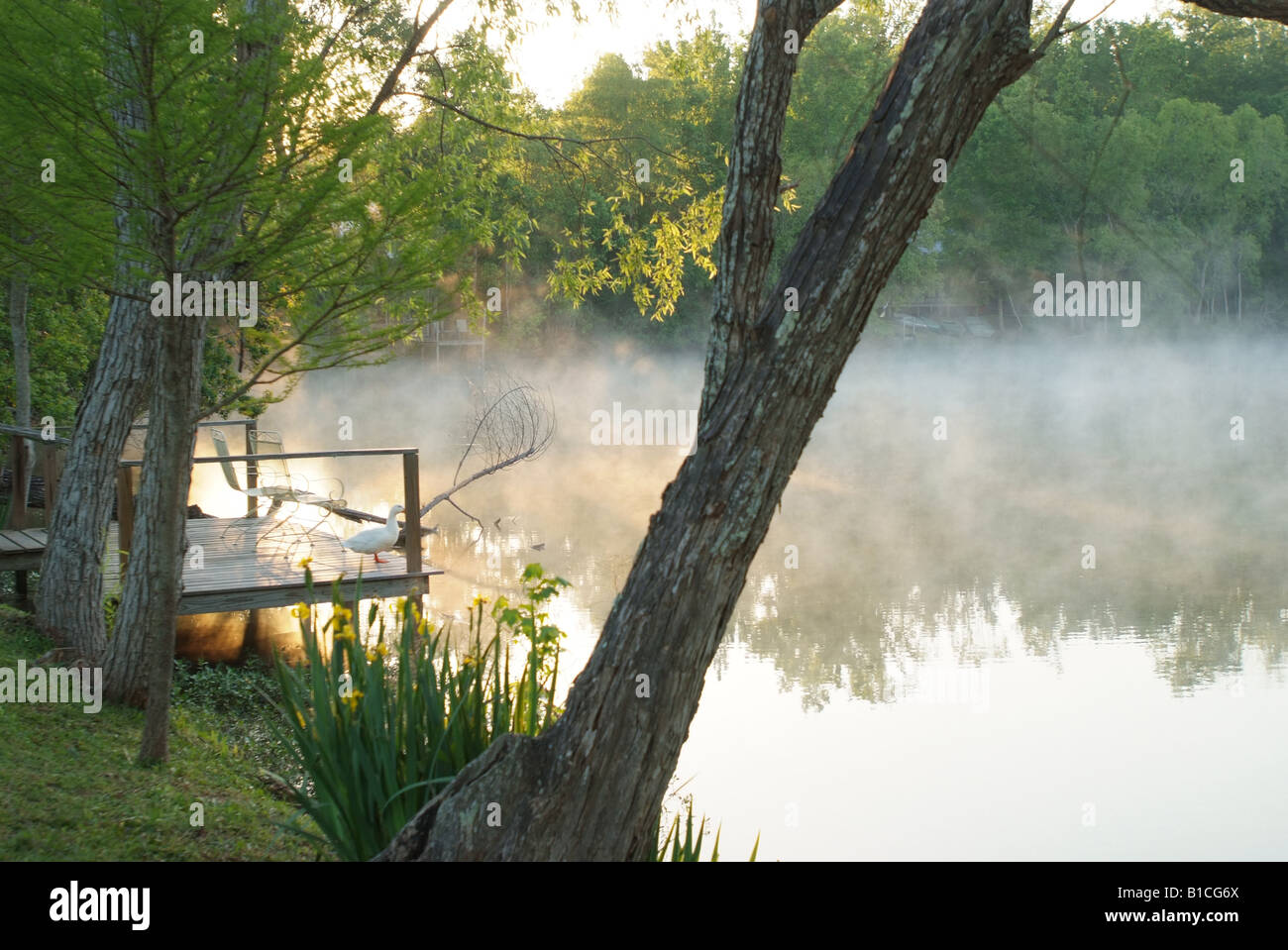 USA Louisiana LA Cajun Country Breaux Bridge Bayou Lake at sunrise ...