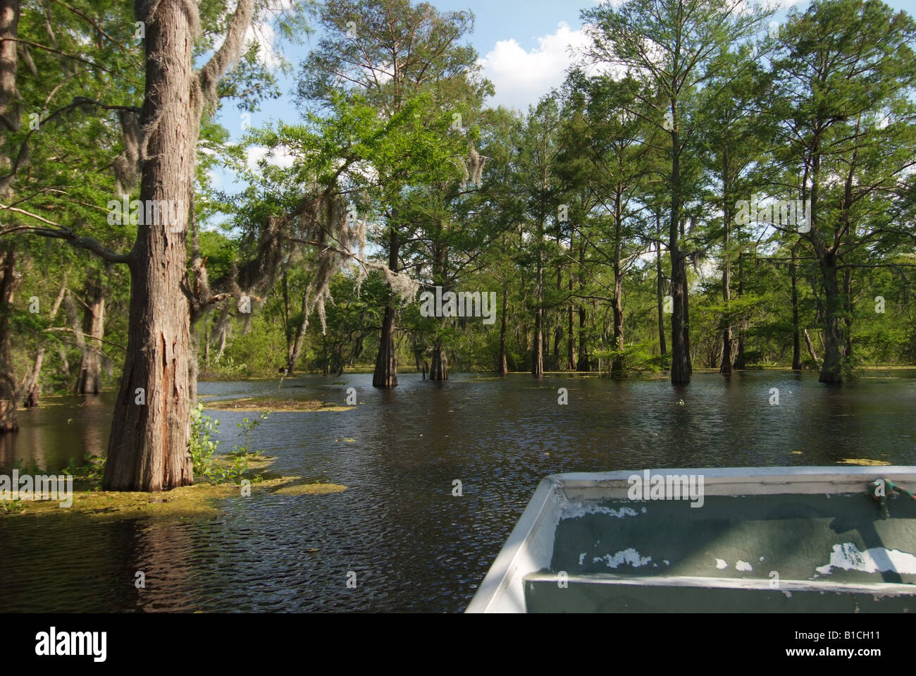 Henderson swamp hi-res stock photography and images - Alamy