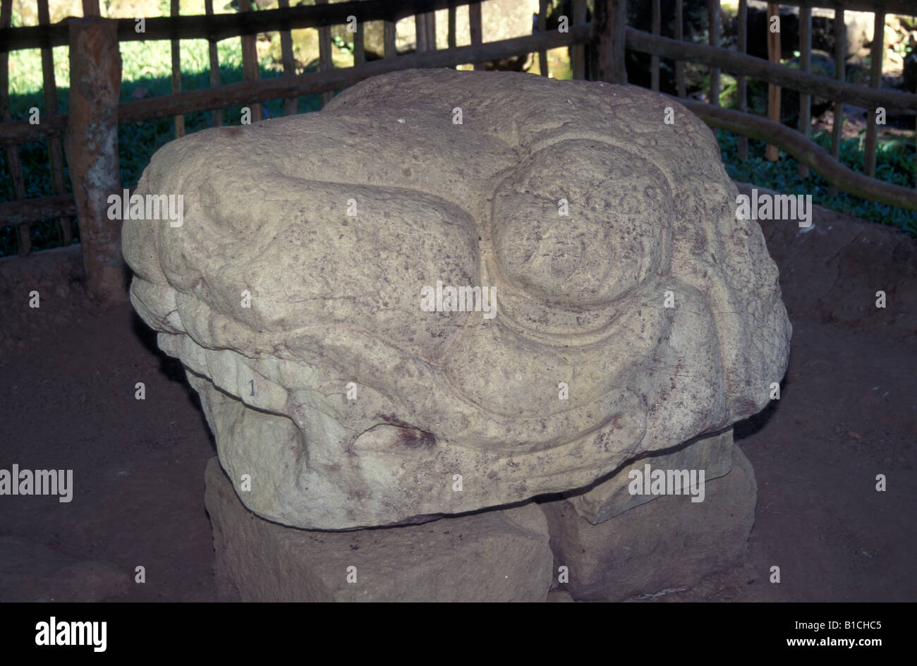 Altar L zoomorph at the Mayan ruins of Quirigua, Guatemala Stock Photo ...