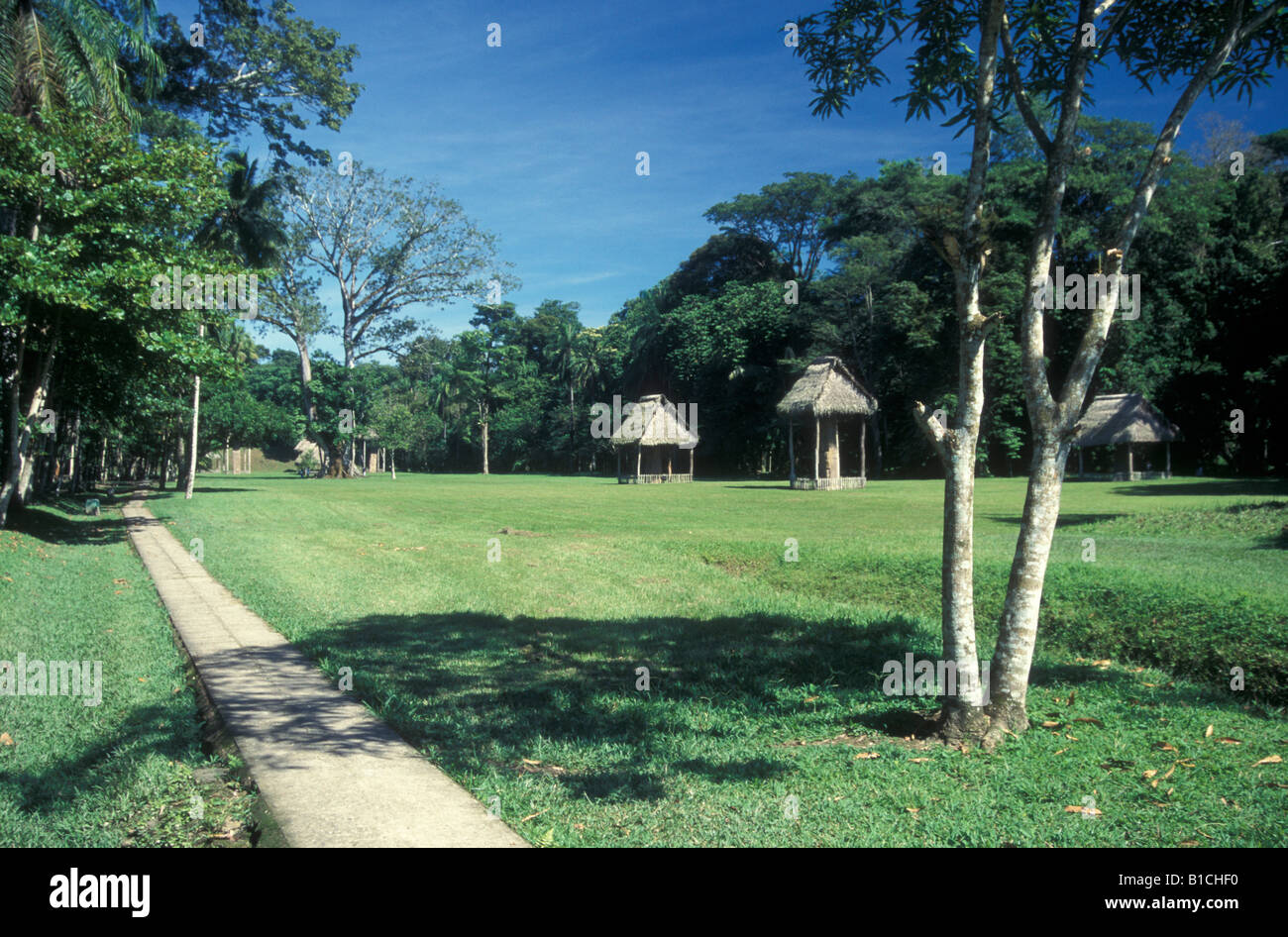 The Great Plaza at the Mayan ruins of Quirigua, Guatemala Stock Photo ...