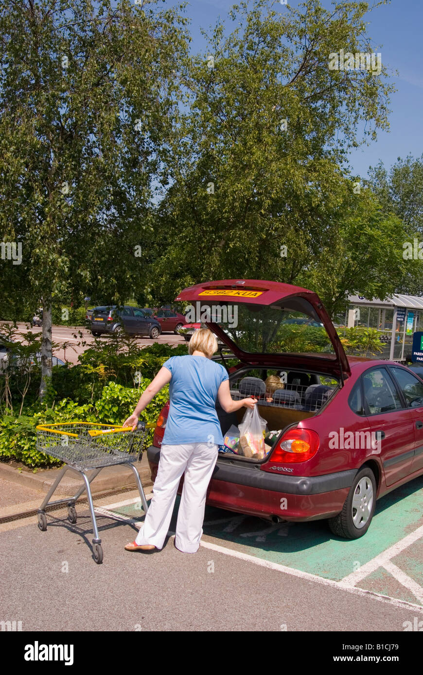 Woman Loading Car At Morrisons Store At Beccles,Suffolk,Uk Stock Photo ...