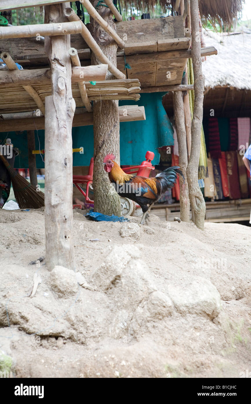 Burmese refugees in Chiang Rai Thailand Four different hill tribes are ...