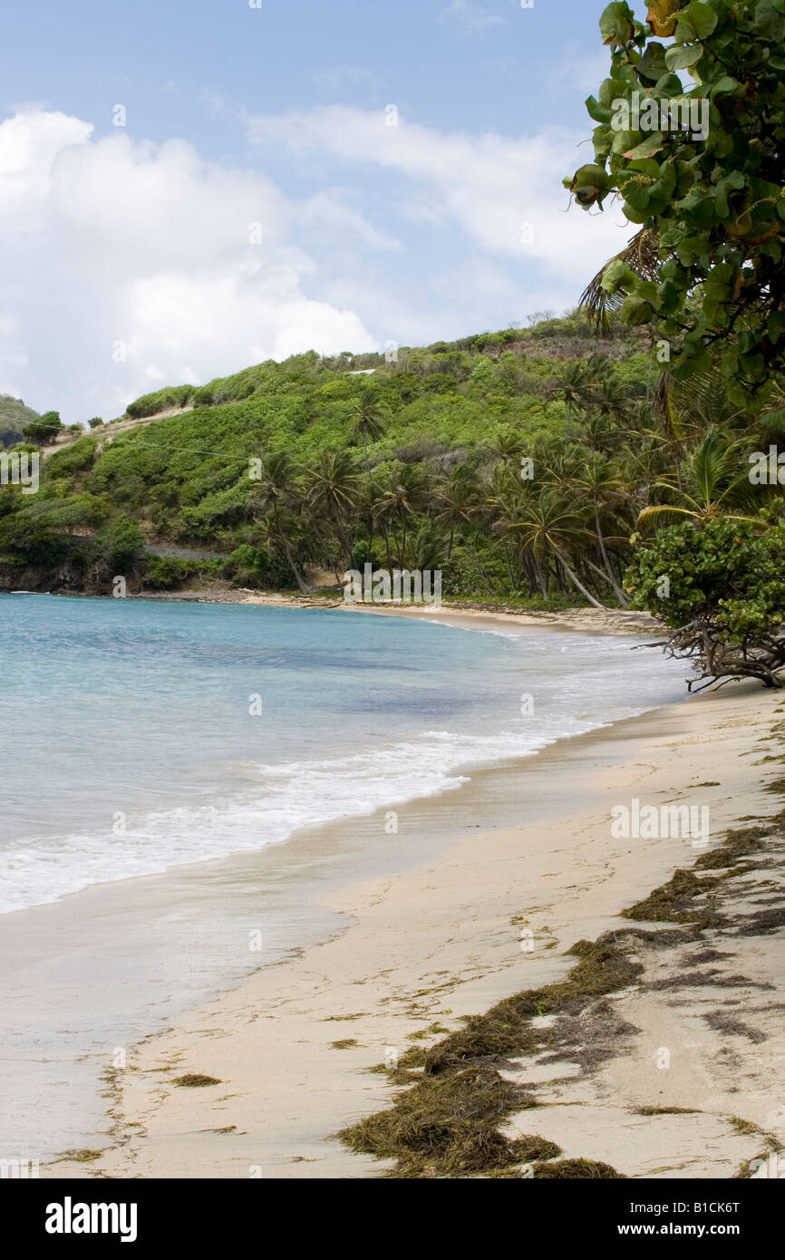 island of Bequia in the Caribbean travel landscape scenic beach ocean ...