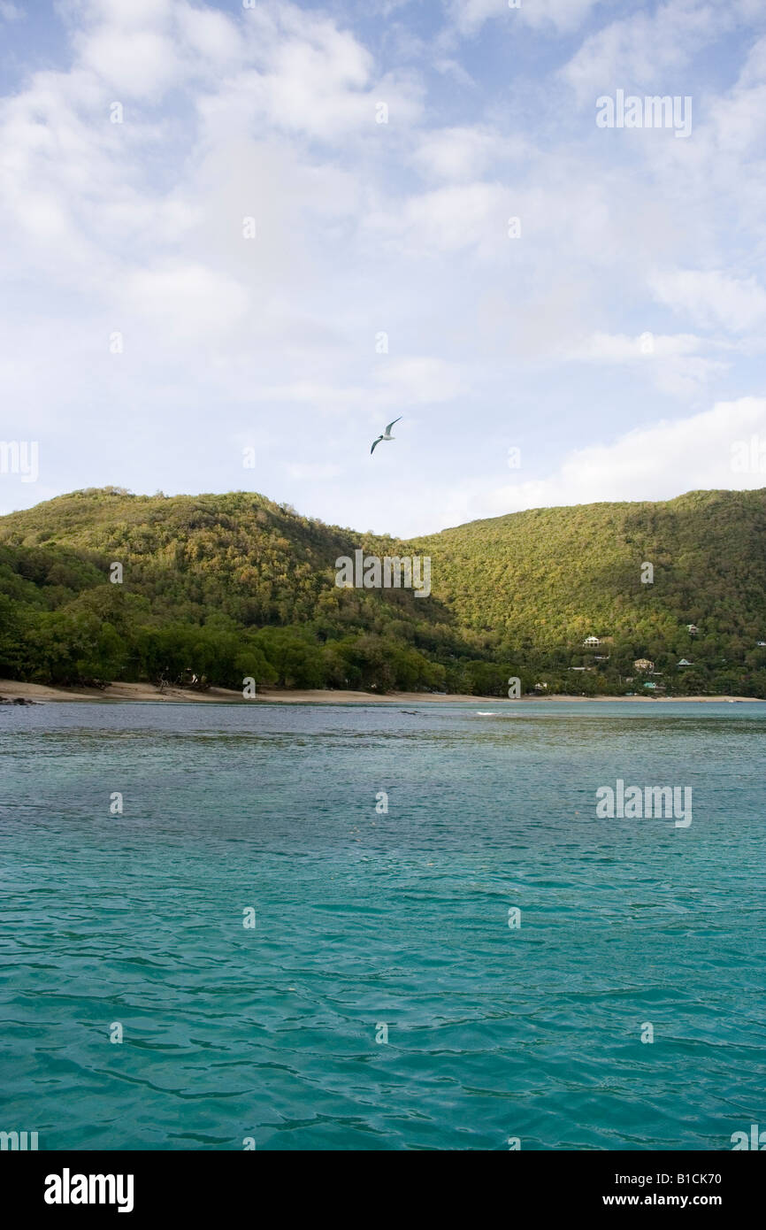 island of Bequia in the Caribbean travel landscape scenic ocean sea ...