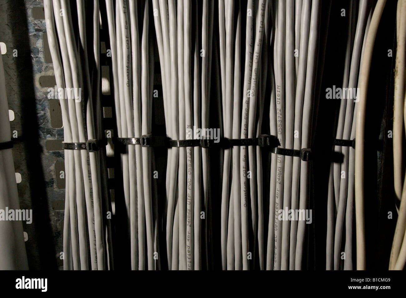 Data cables being unstalled in a modern office are clipped together an ...