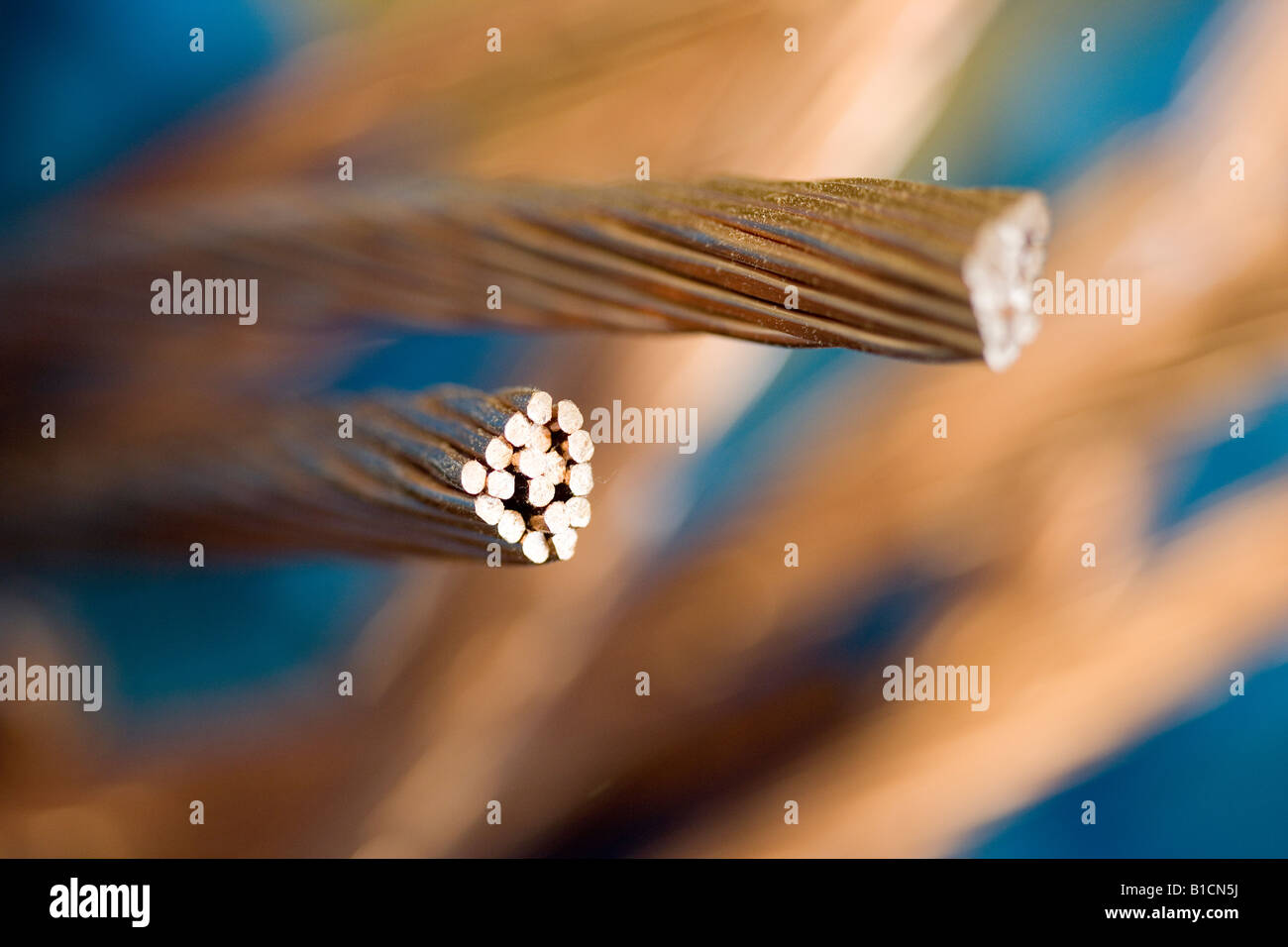 Copper high current power cables Stock Photo - Alamy