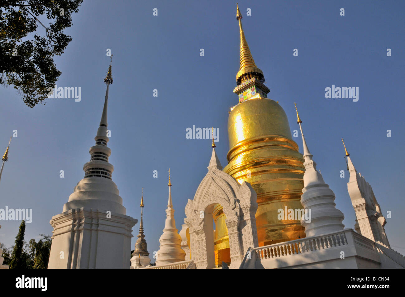 golden Chedi of Wat Suan Dok Temple, Thailand, Chiang Mai Chedi Stock ...