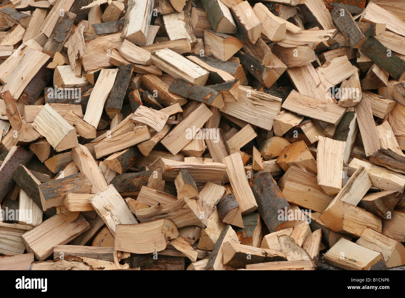 common beech (Fagus sylvatica), firewood Stock Photo - Alamy