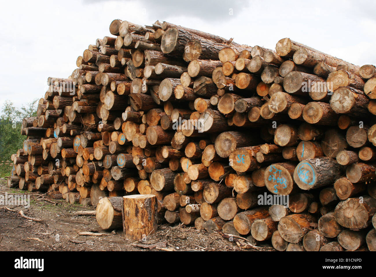 M pile hi-res stock photography and images - Alamy