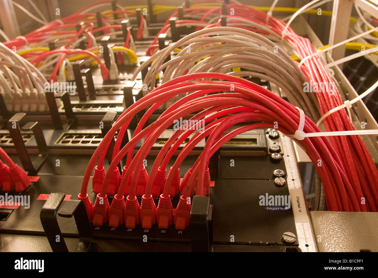 Data cables connected in the comms rooms at new London offices Stock ...