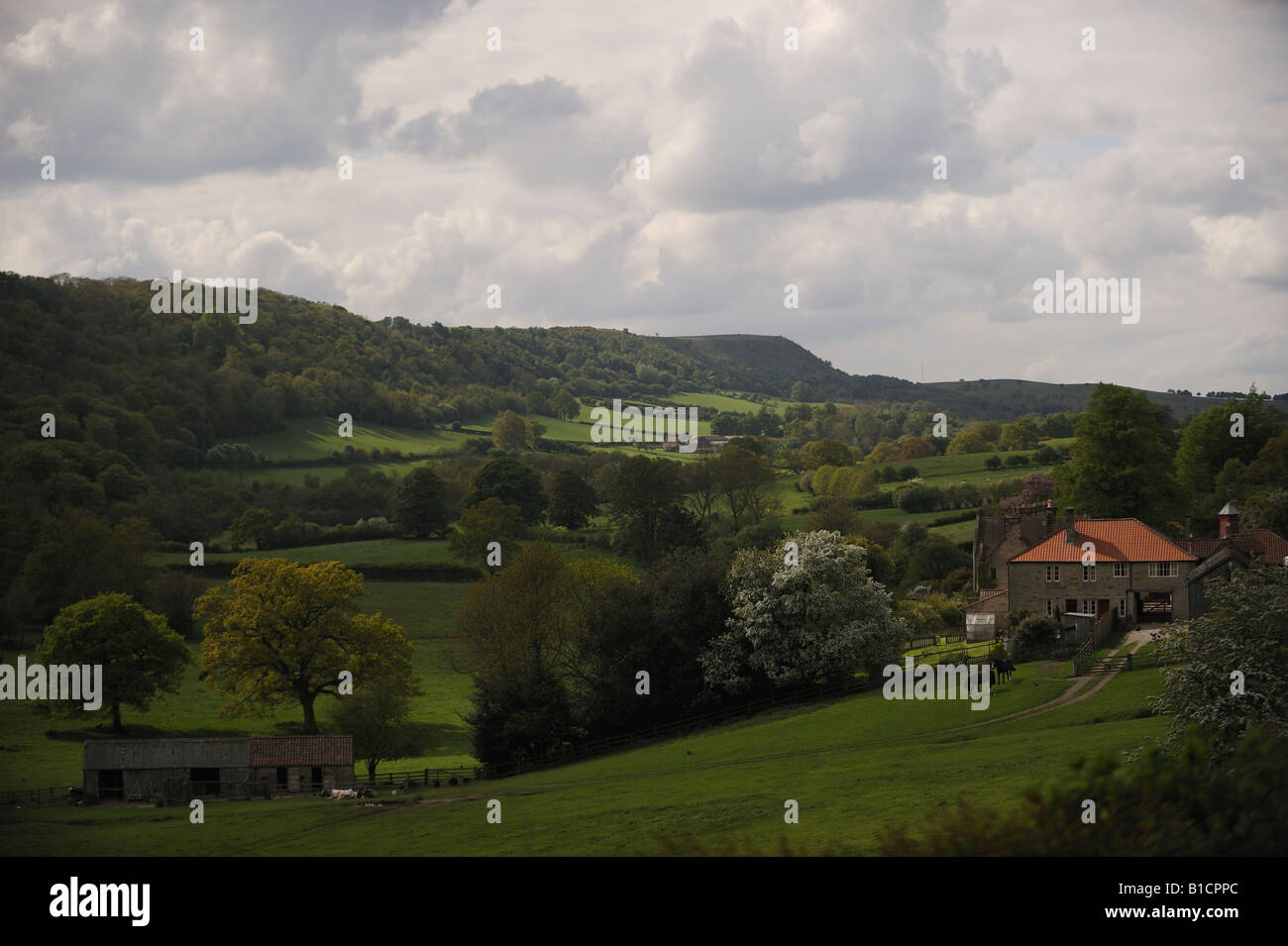 Bilsdale mast hi-res stock photography and images - Alamy