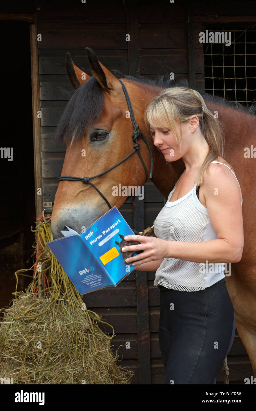 Equine passport hi-res stock photography and images - Alamy