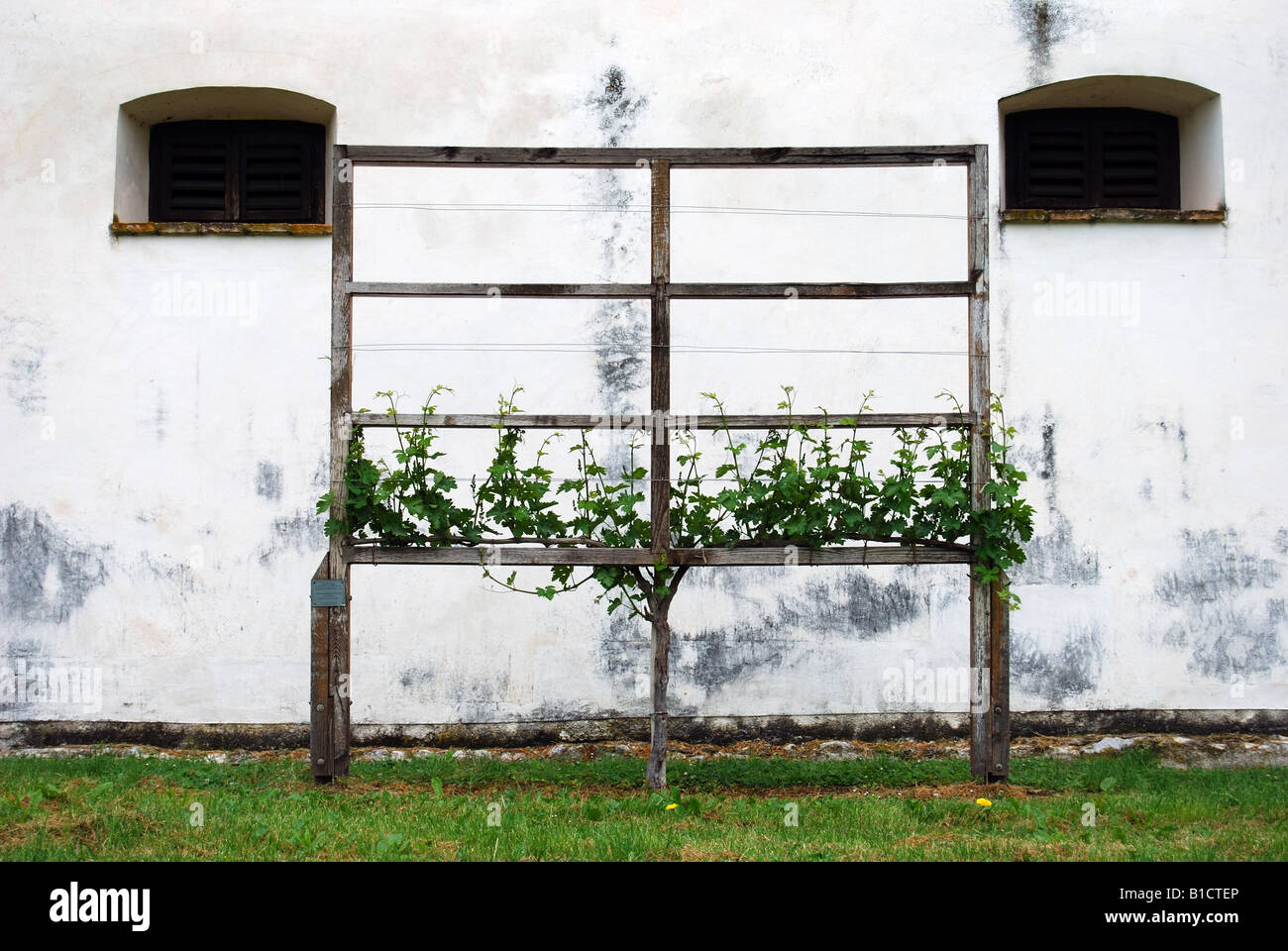 Interesting windows hi-res stock photography and images - Alamy