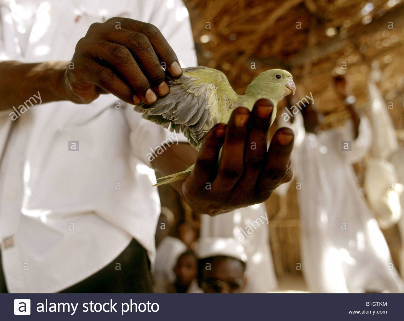 Muslims Praying Africa Stock Photos & Muslims Praying Africa Stock ...