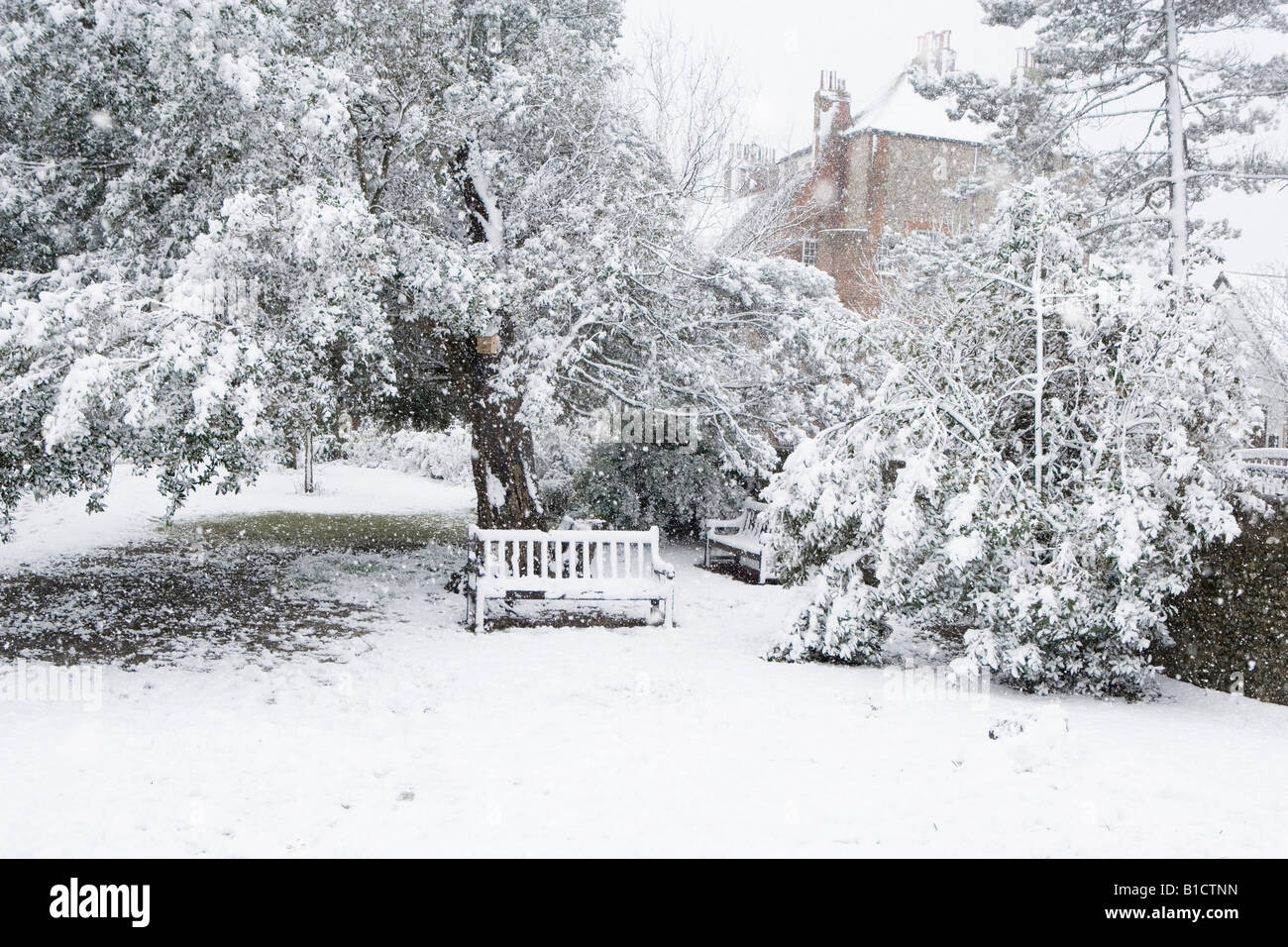 Snowy park scene shot in Sussex, England UK Stock Photo - Alamy
