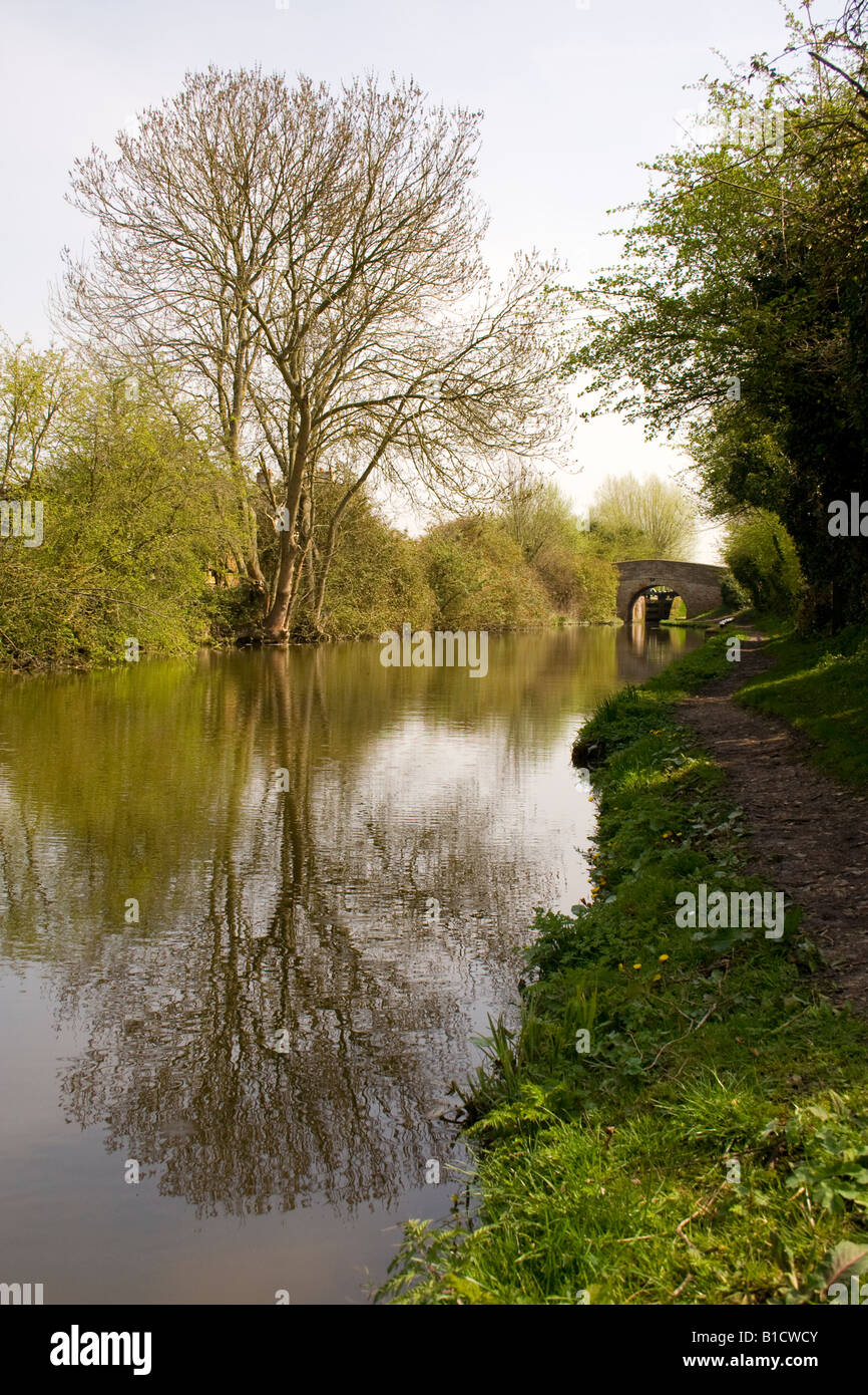 A reflection of a tree in the Grand Union Canal in colour Stock Photo ...