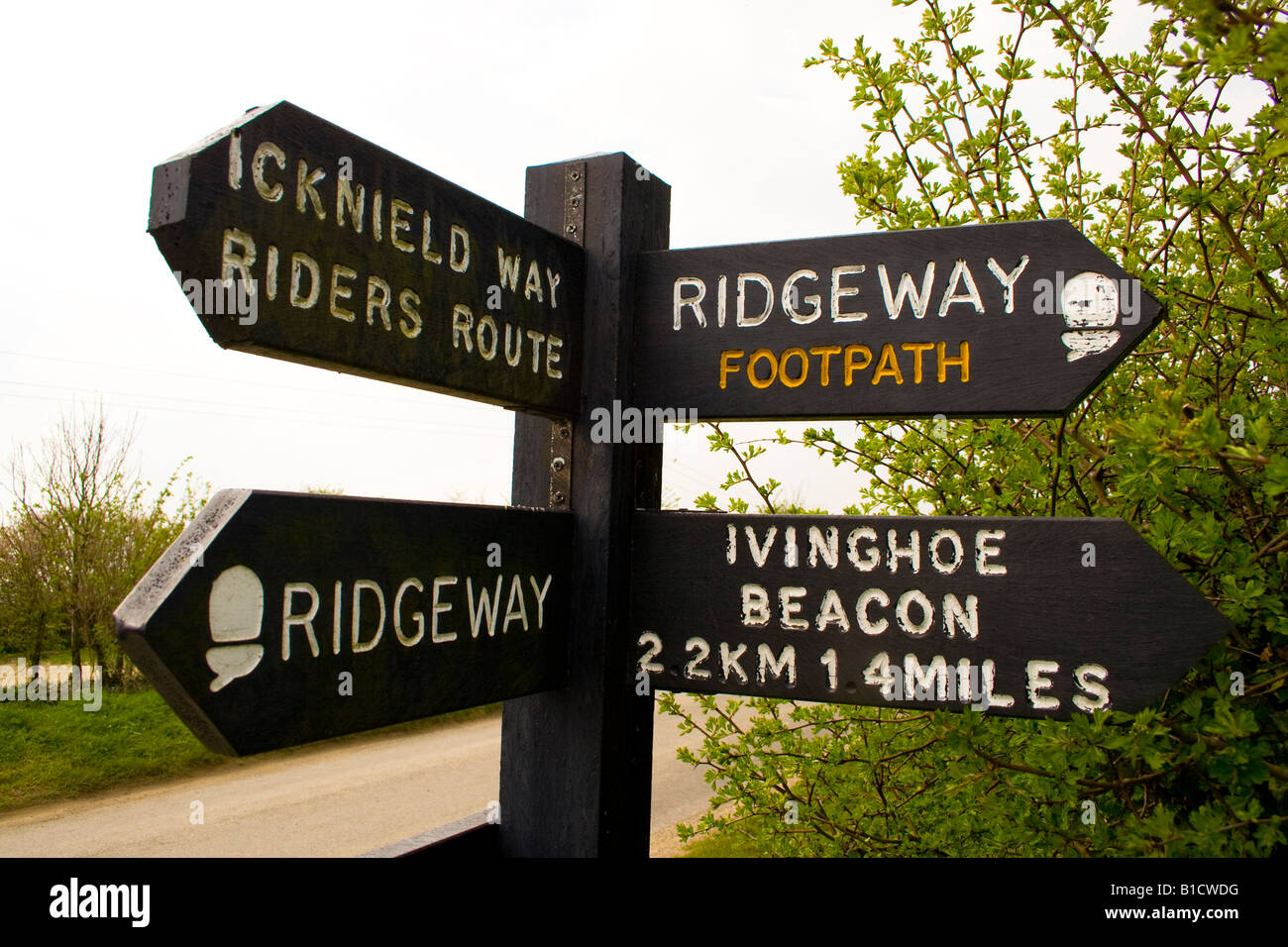 A wooden signpost pointing out the routes of the Ridgeway and Icknield ...