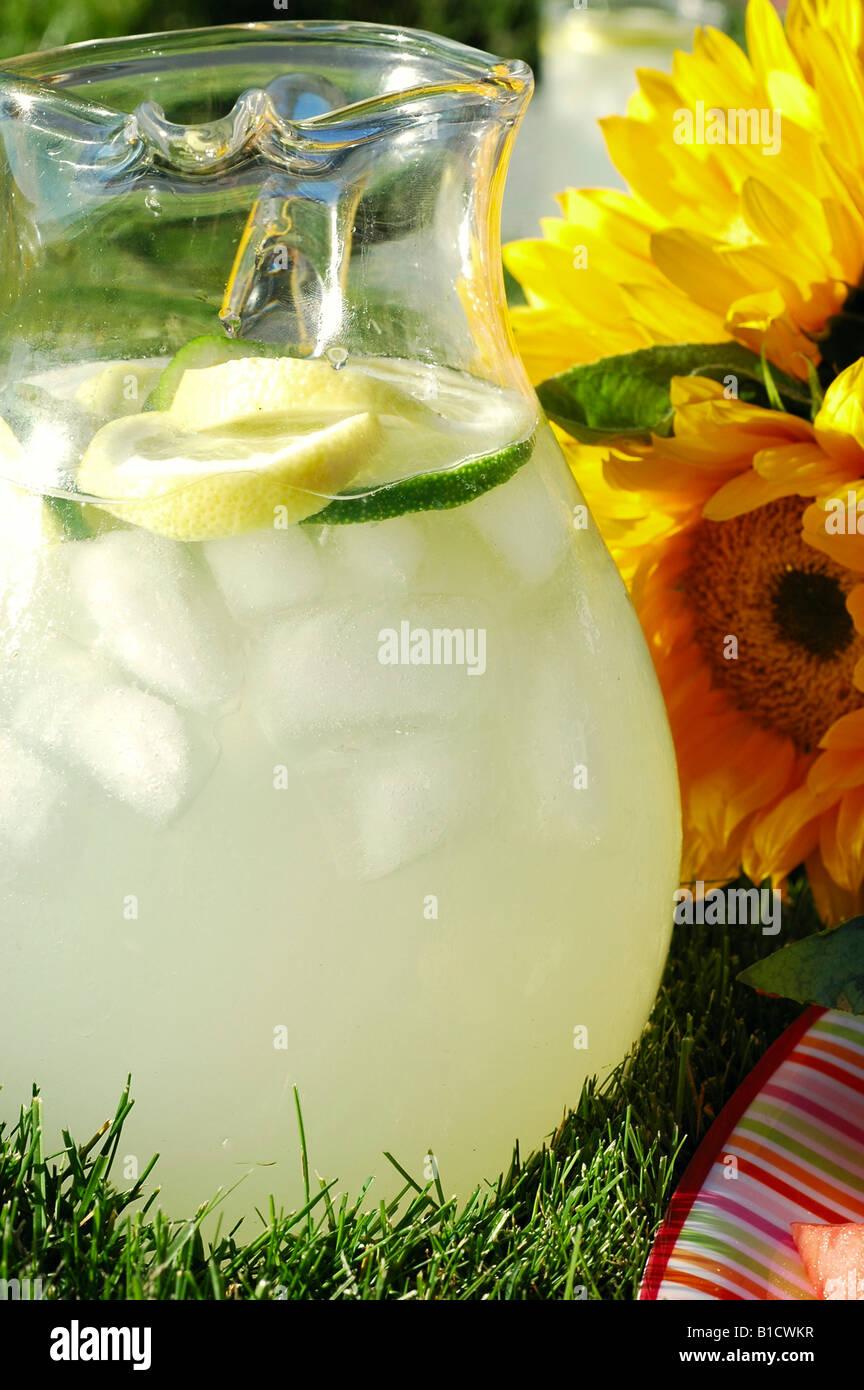 Pitcher of lemonade with sunflowers on the grass lit by afternoon sun ...