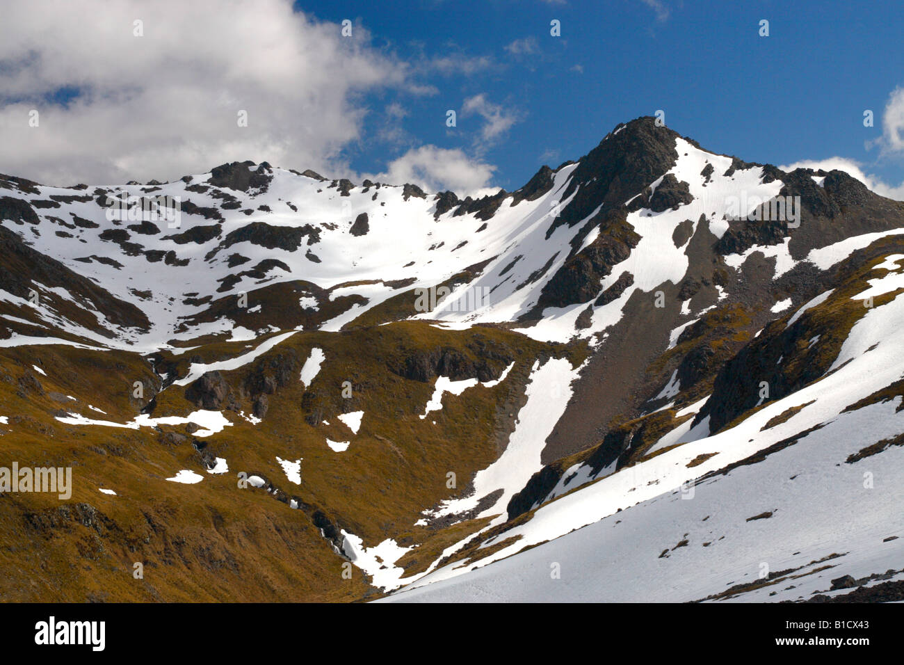 Nelson Lakes National Park, South Island, New Zealand Stock Photo - Alamy