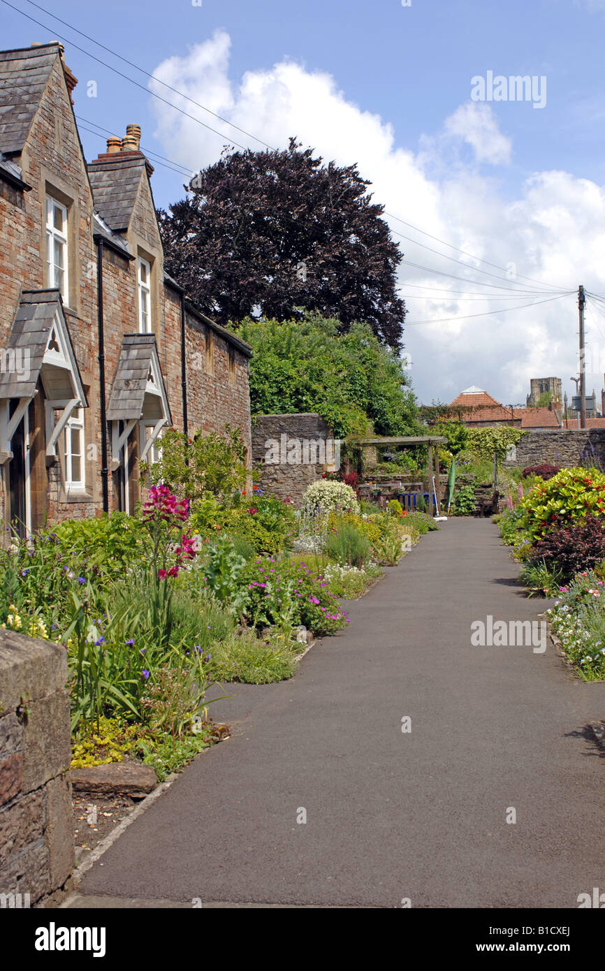 A small group of terraced houses in the City of Wells Somerset Stock ...