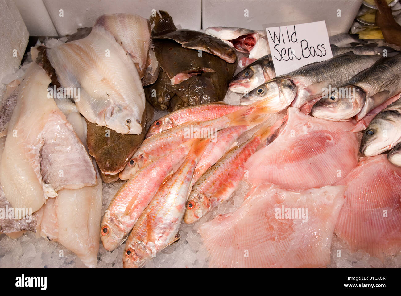 Types of fish uk hi-res stock photography and images - Alamy