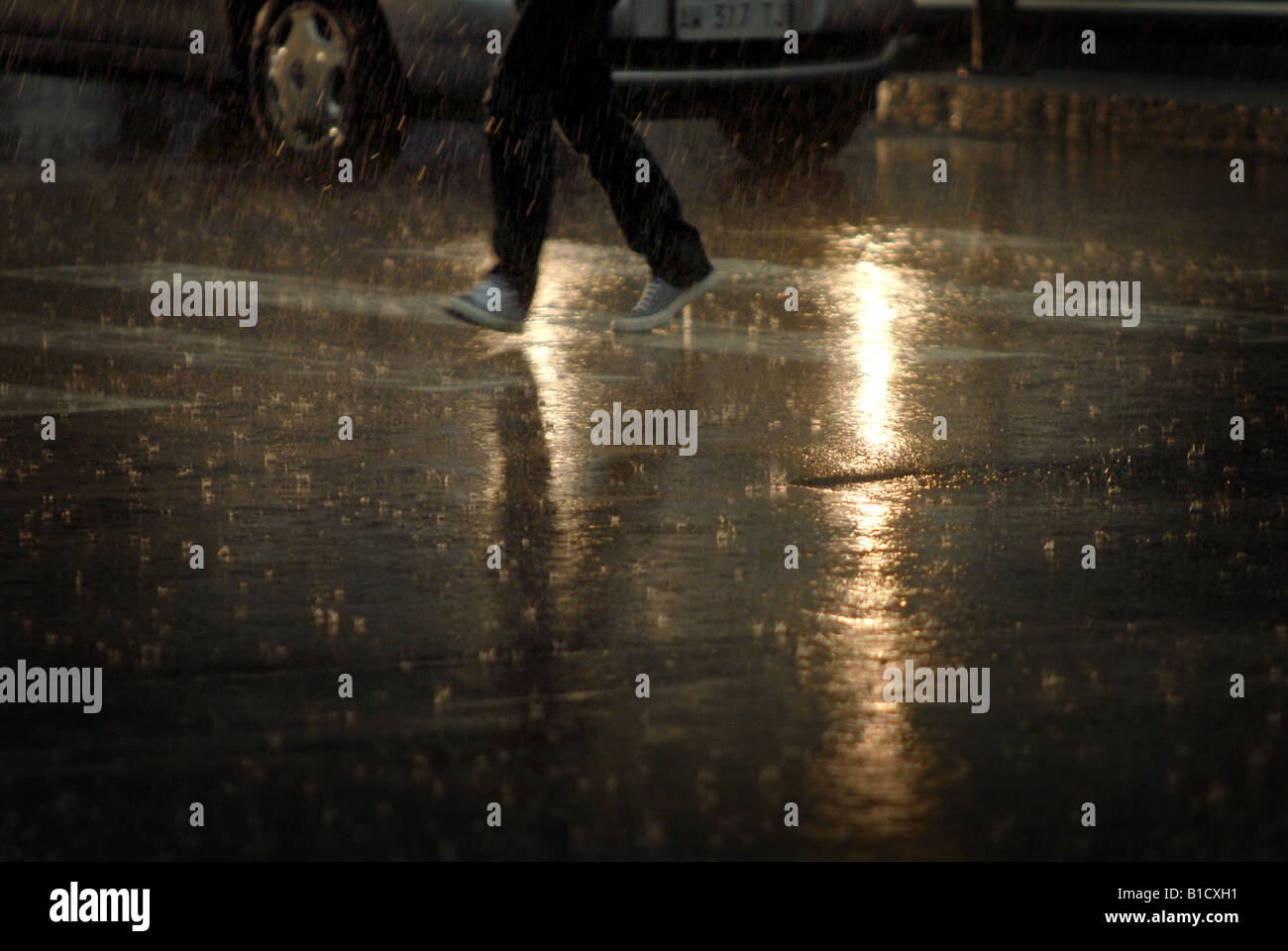 Torrential downpour raindrops hi-res stock photography and images - Alamy