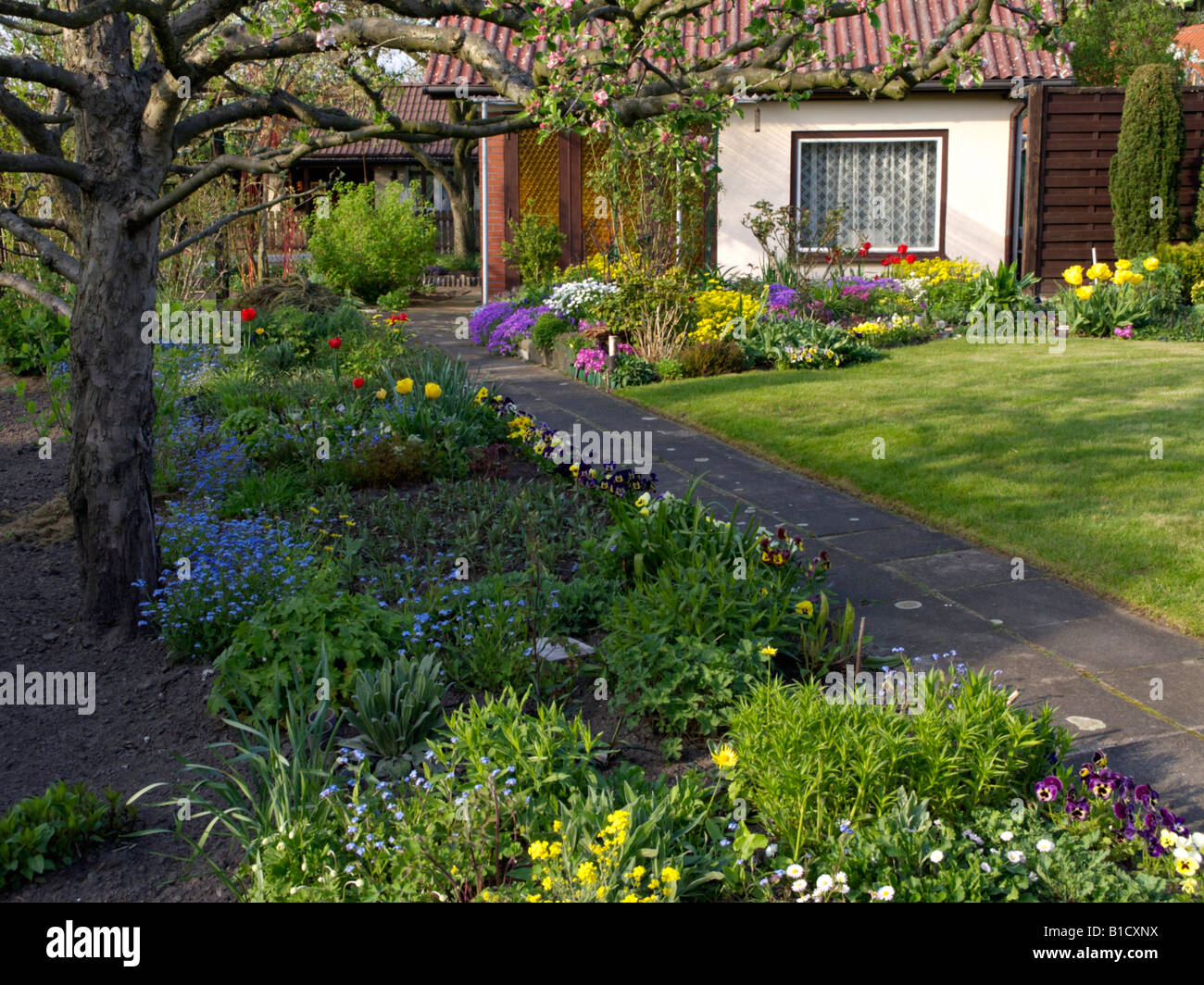 Allotment garden with perennial border in spring Stock Photo - Alamy