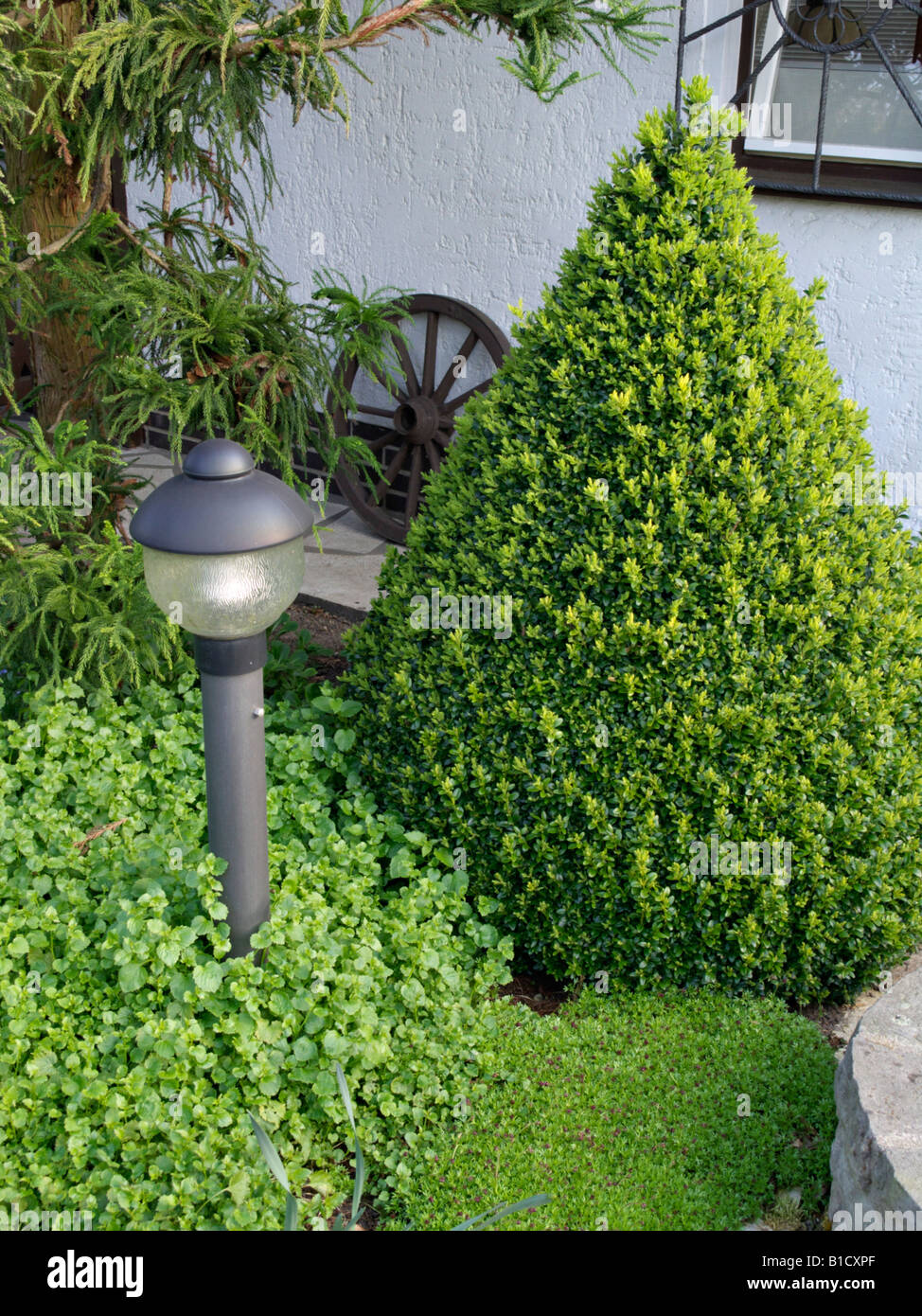 Buxus sempervirens topiary hi-res stock photography and images - Alamy