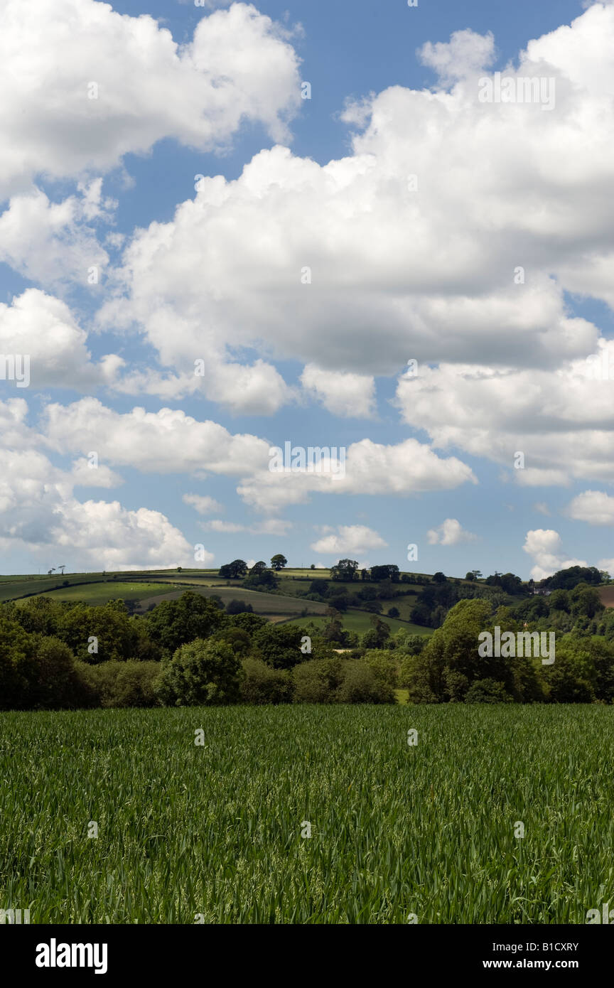 Rural view, Devon, England Stock Photo - Alamy