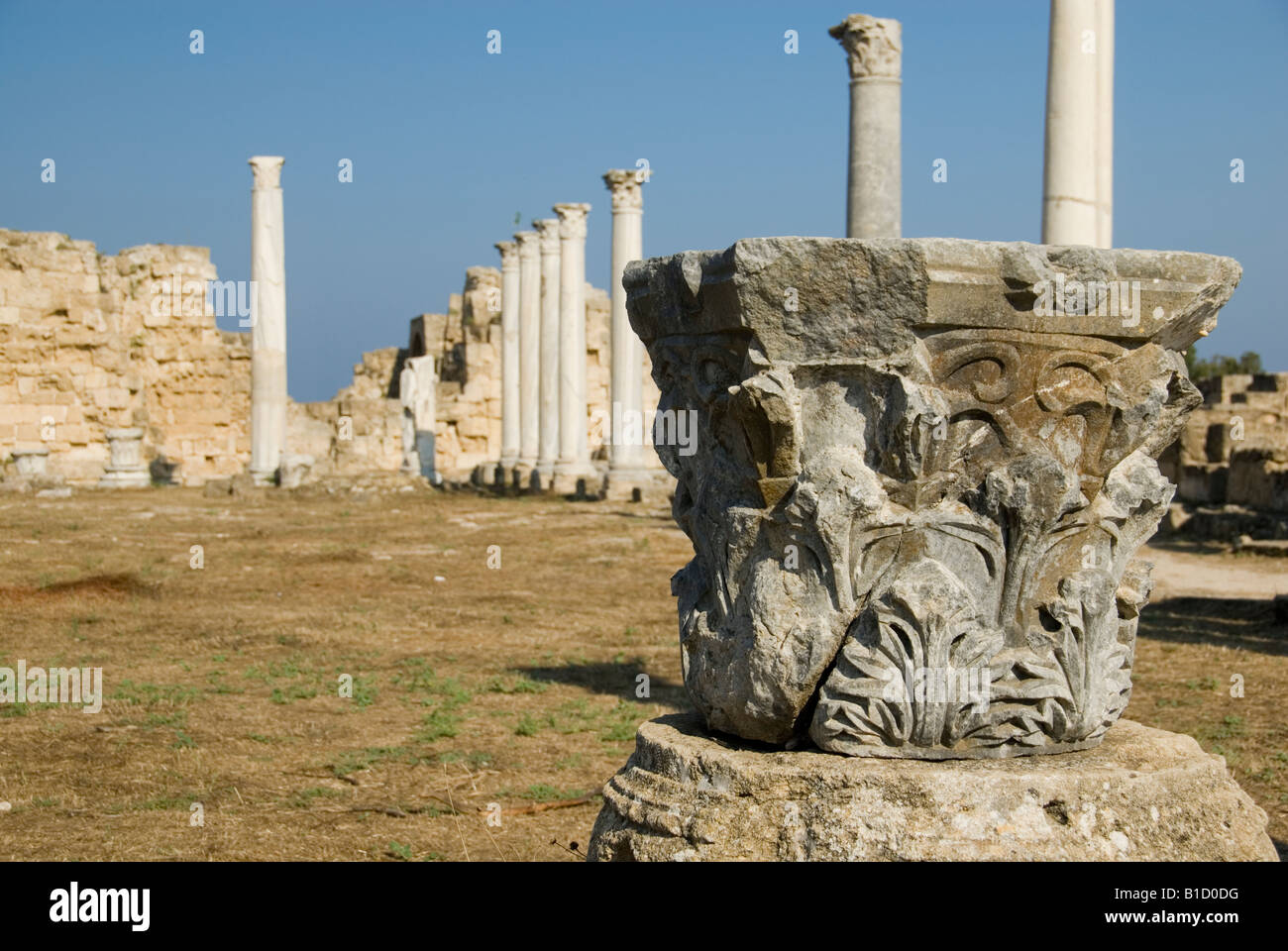 Close Up View of Ornately Carved Roman Ruins Pillar in the Ruined ...