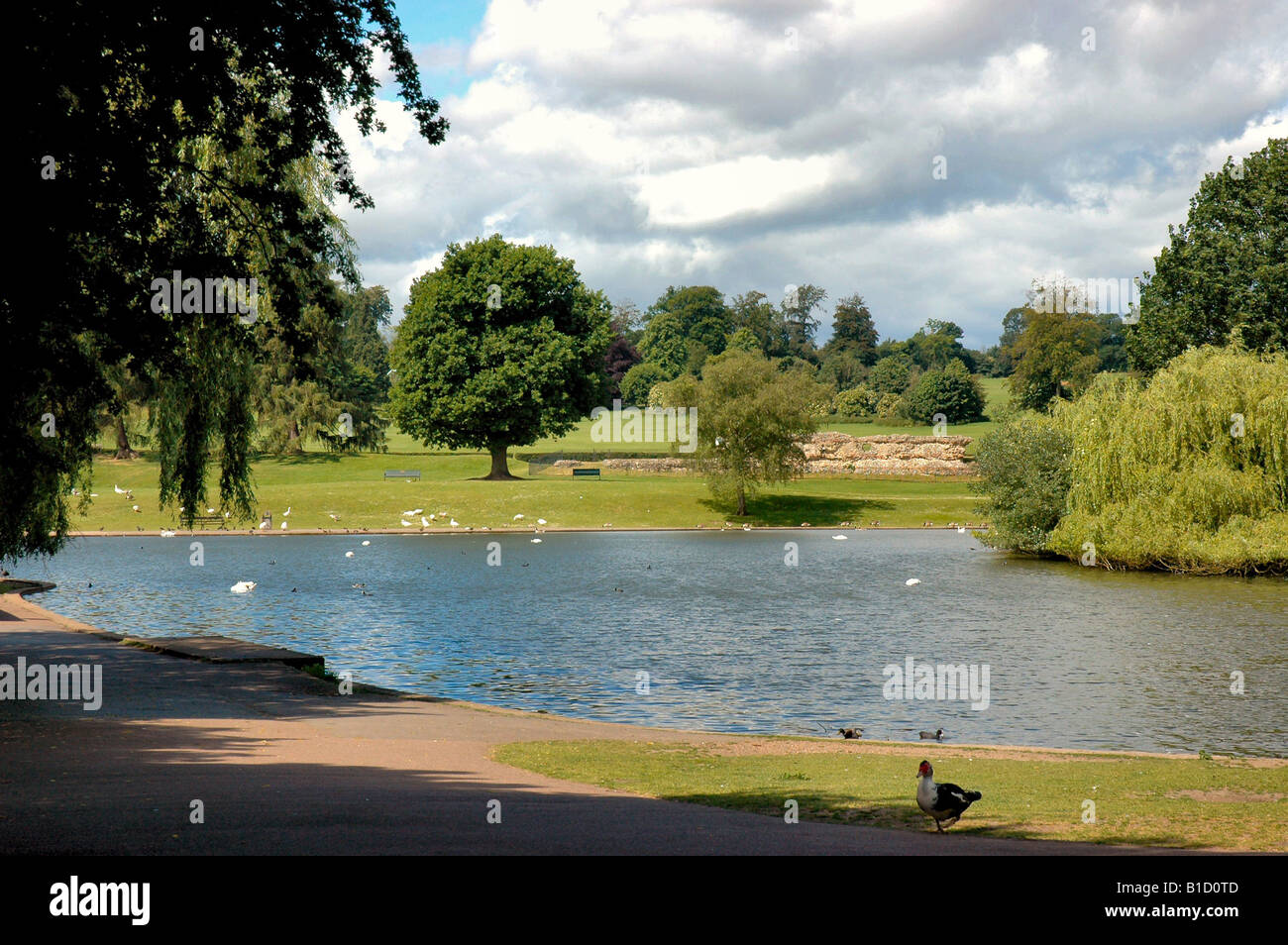St Albans Park showing lake Stock Photo - Alamy