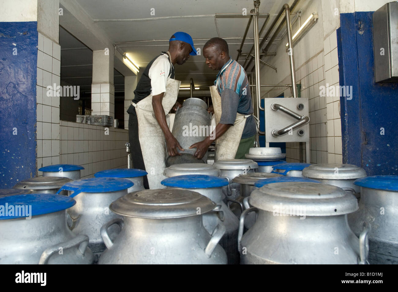 Workers at a dairy in Magoye, Zambia Stock Photo - Alamy