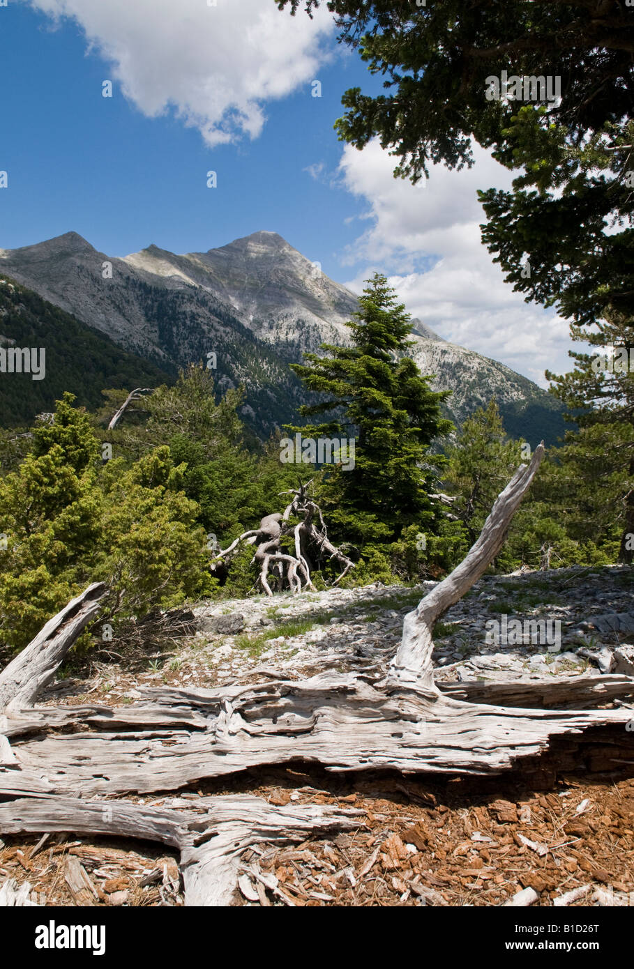 Profitis Ilias at 2404 mtrs the highest peak in the Taygetos range ...