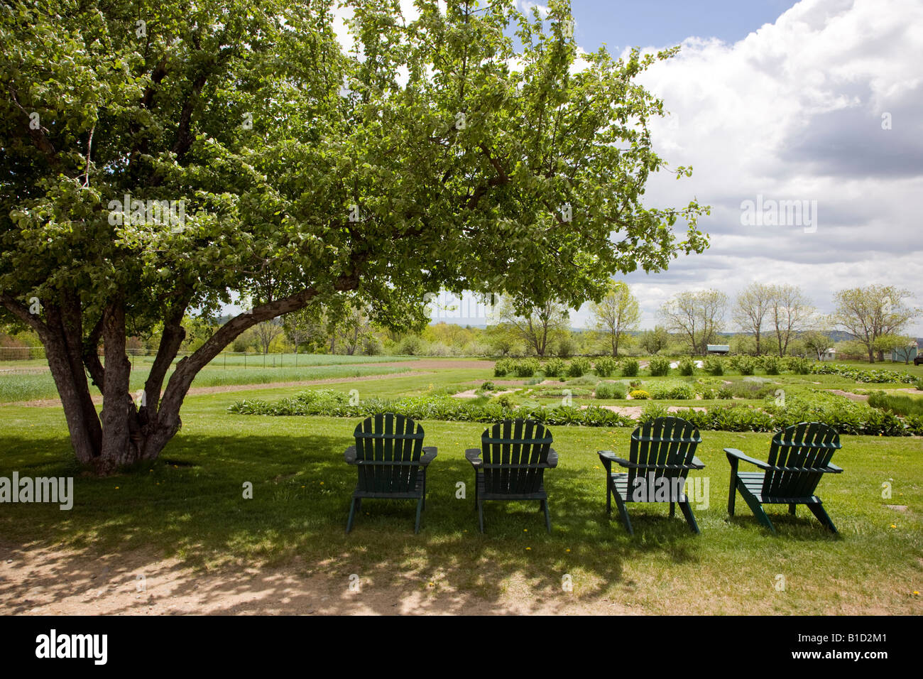 Shaker chairs hi-res stock photography and images - Alamy