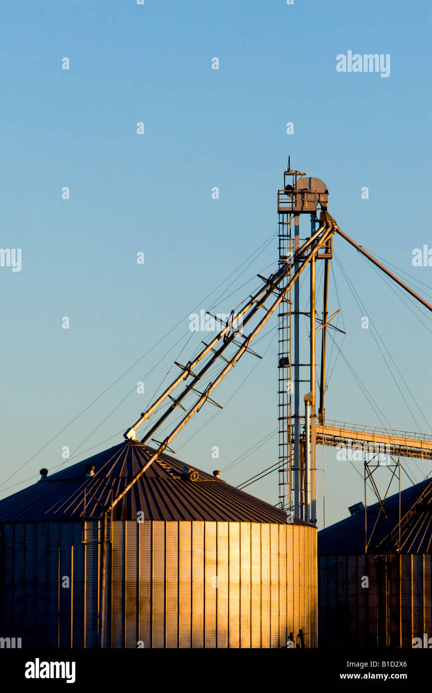 Three large grain storage bins reflect the early morning sun Stock ...