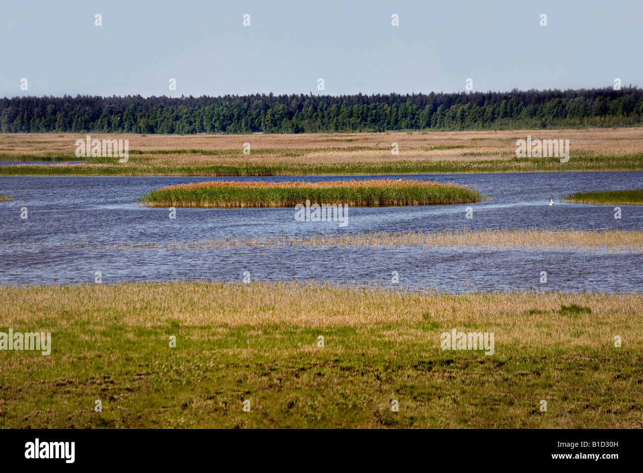The Engure lake nature park Latvia Stock Photo - Alamy