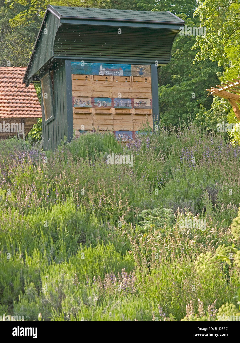 apiary bee yard beehive in the spice herbs garden of the cloister ...