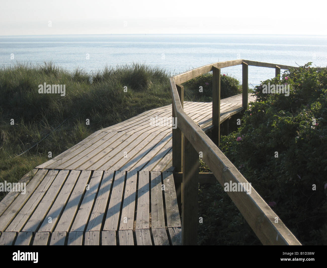 Pathway to sea hi-res stock photography and images - Alamy