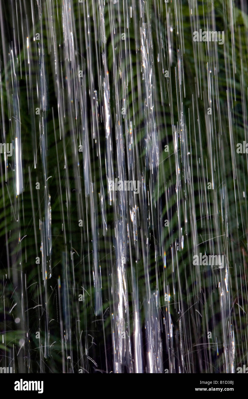 Falling waterdrops while water the garden in Kaugurciems Jurmala Latvia ...