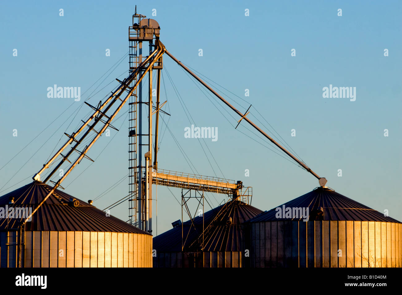 Three large grain storage bins reflect the early morning sun Stock ...