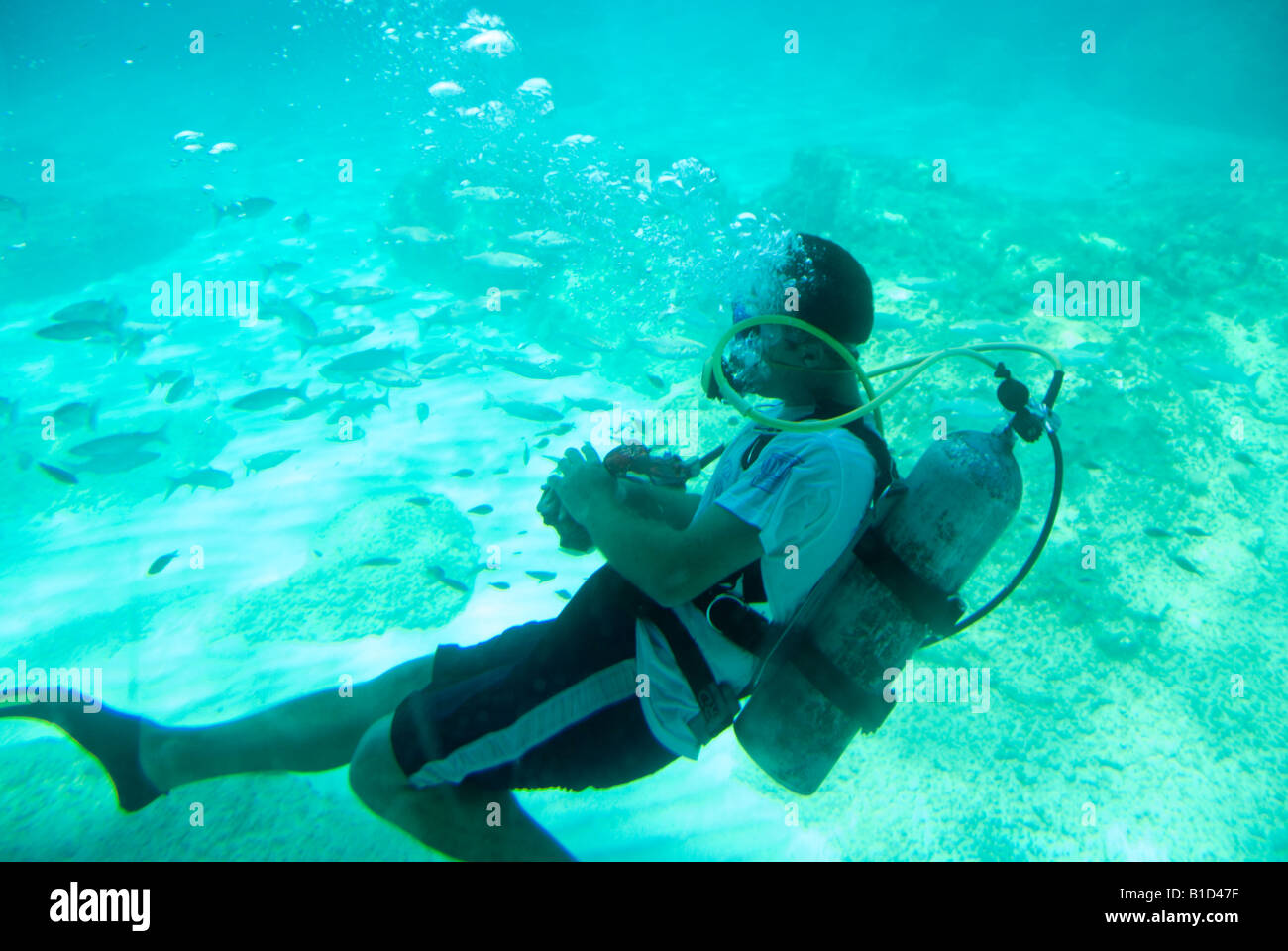 Young Man Scuba Diving and Feeding the Fish in the Blue Waters of the ...