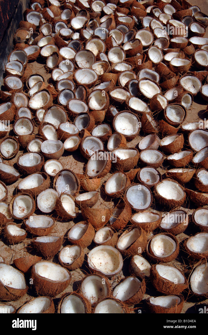 Copra Oil High Resolution Stock Photography and Images - Alamy
