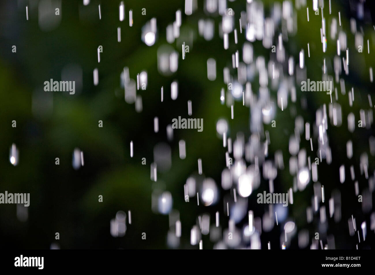 Falling waterdrops while water the garden in Kaugurciems Jurmala Latvia ...